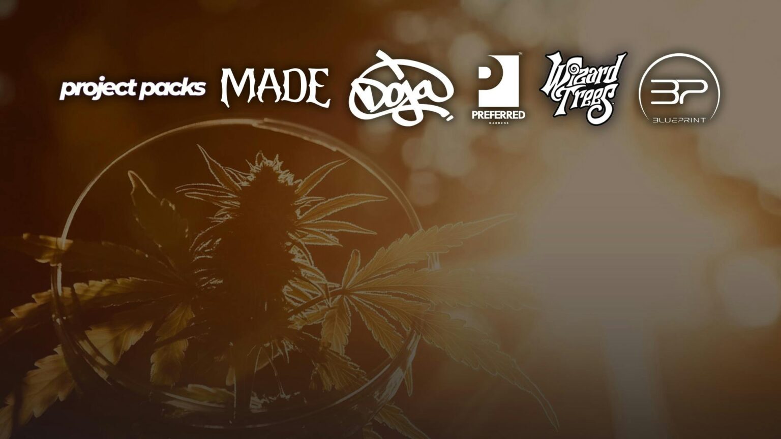 Project Packs & Made | $25 1G live Resin Extracts EDLP - Sol Flower