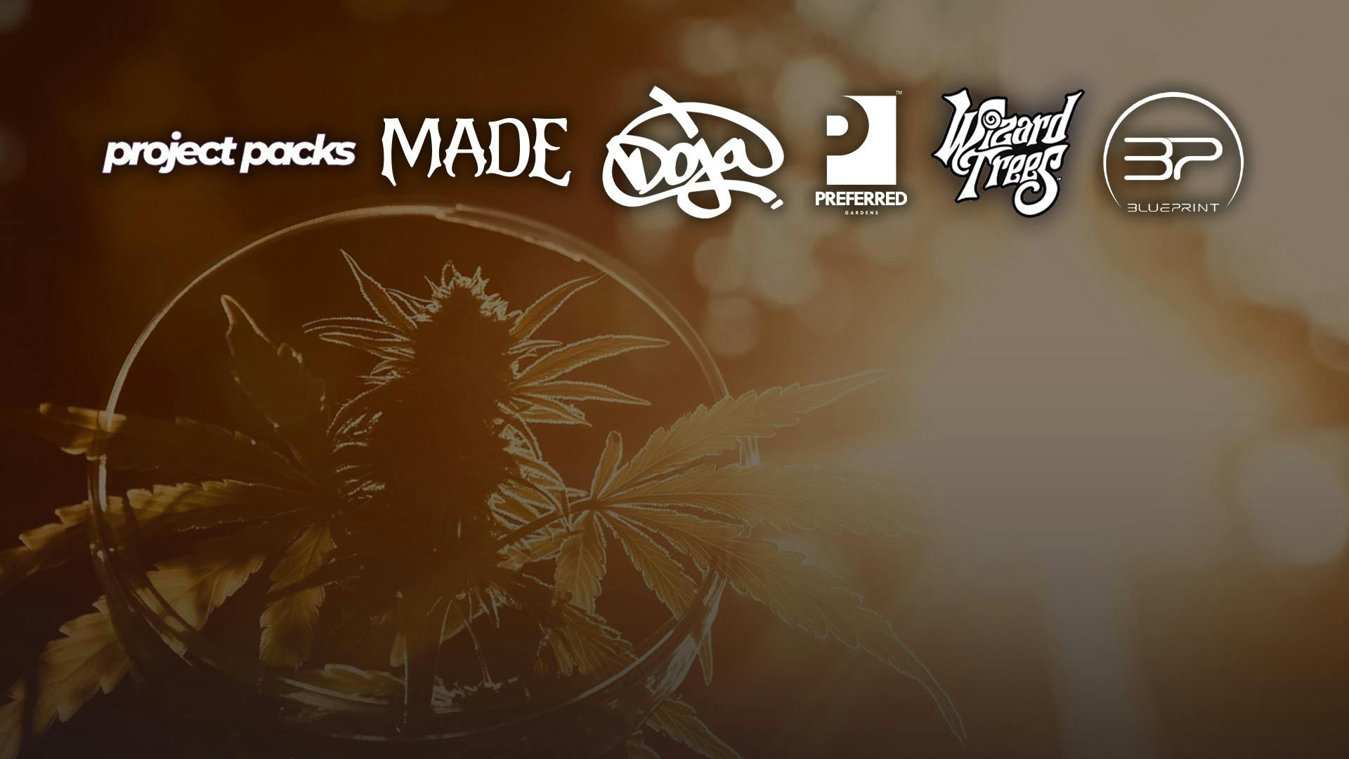 Project Packs & Made | $25 1G live Resin Extracts EDLP - Sol Flower